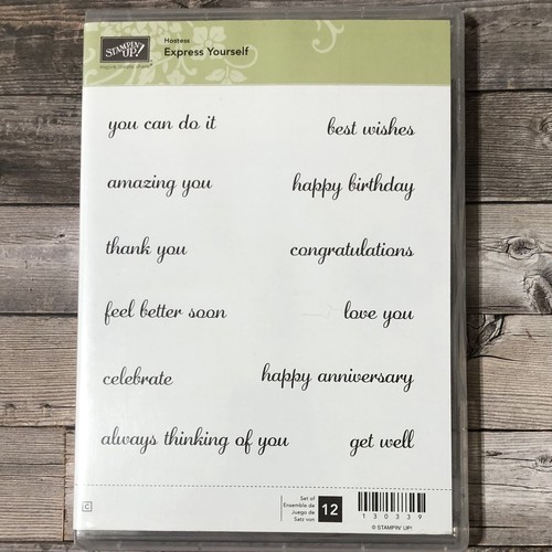 Stampin Up EXPRESS YOURSELF Stamp Set Greetings Sayings Phrases Words ...