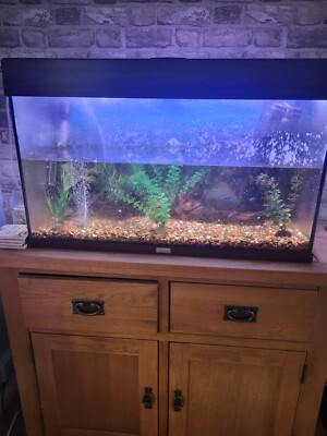 fish tank used | eBay UK