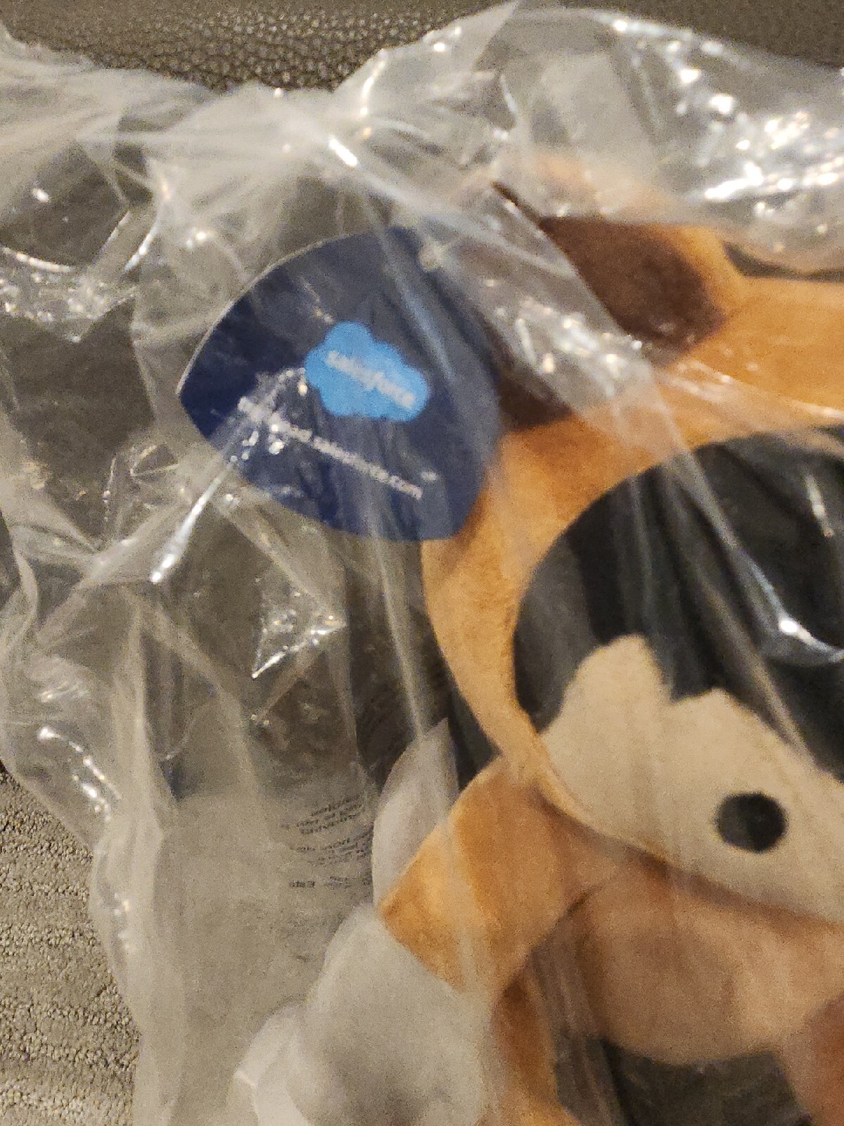 Salesforce Plush Astro Nomical Wheelchair Accessibility Raccoon Mascot ...