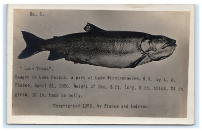 Hugh Lake Trout Caught Lake Paugus Winnipesaukee NH New Hampshire 1906 ...