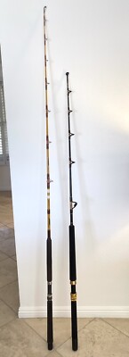 Ocean Fishing Rod Combo, One Trolling Rod And One Bait Rod | eBay