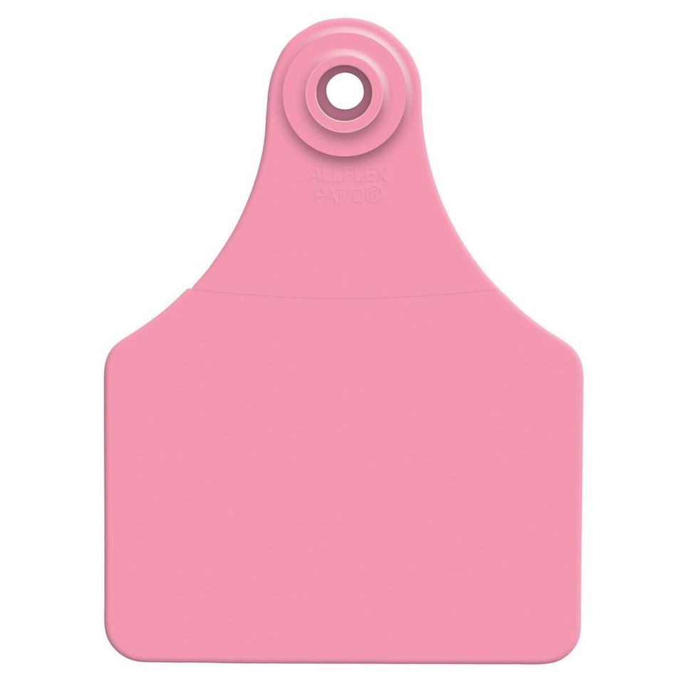 Allflex Global Large Blank Tags Pink 25s 18583108679| eBay