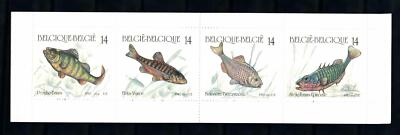 [47332] Belgium 1990 Marine life fish Booklet MNH | eBay