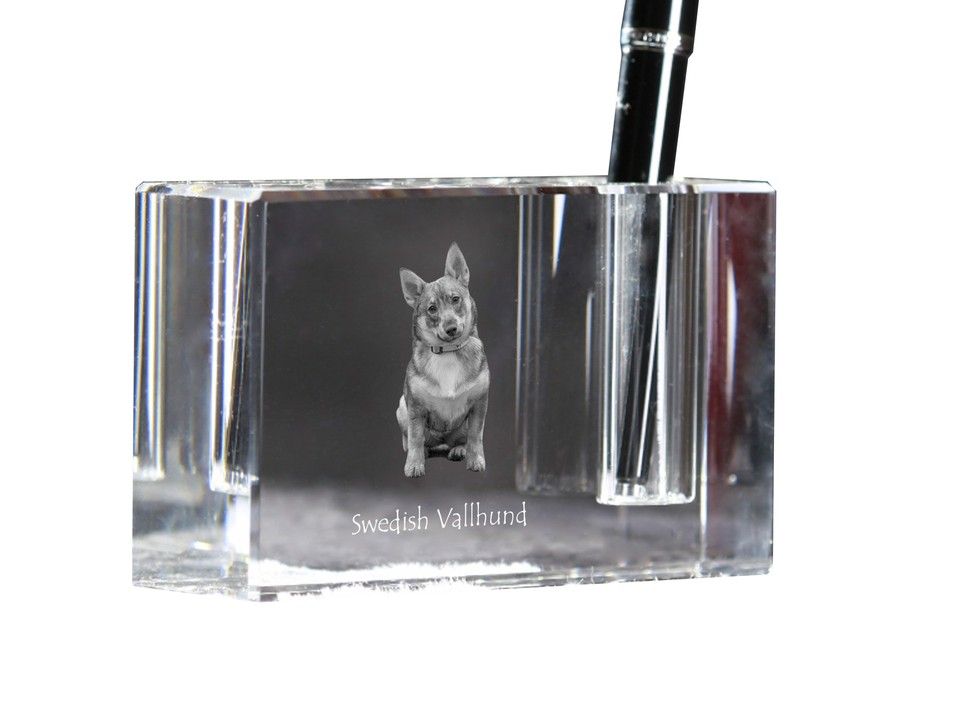 Swedish Vallhund, Swedish Cattle Dog, Swedish Shepherd - Pen stand ...
