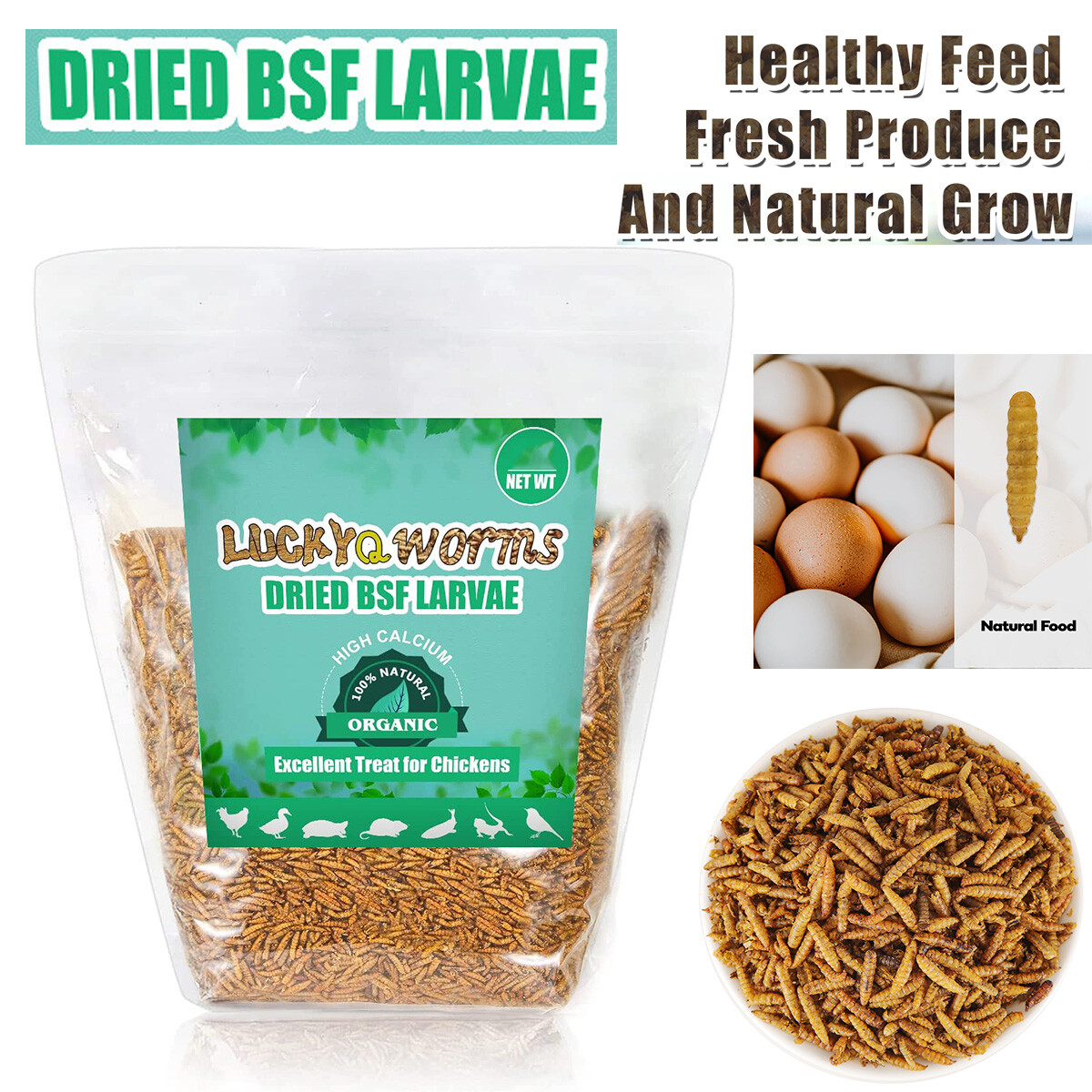 Dried BSF Larvae Black Soldier Fly Larvae BSFL Treats Non-GMO Chicken ...