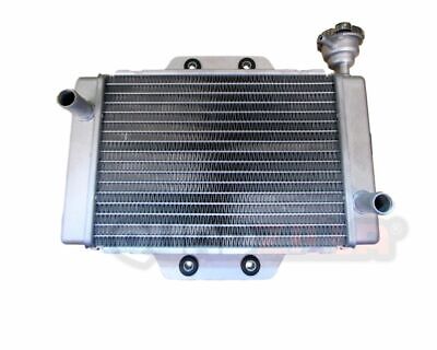 Genuine QUADZILLA Pro Shark 100 Radiator Working Order. for sale online ...
