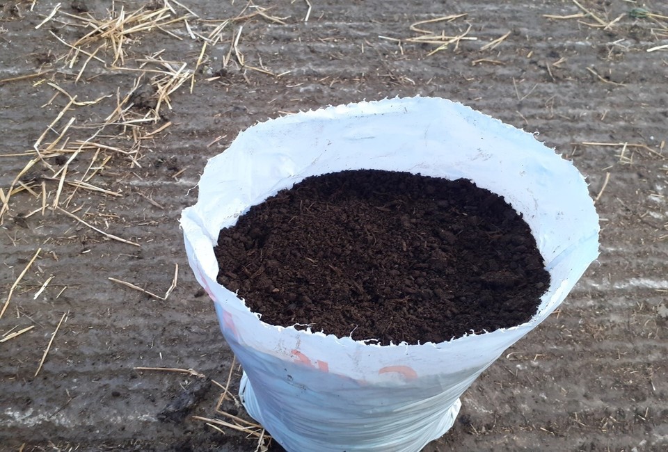 Cow Manure / Compost, Multi use Fertiliser for Gardens & Allotments ...