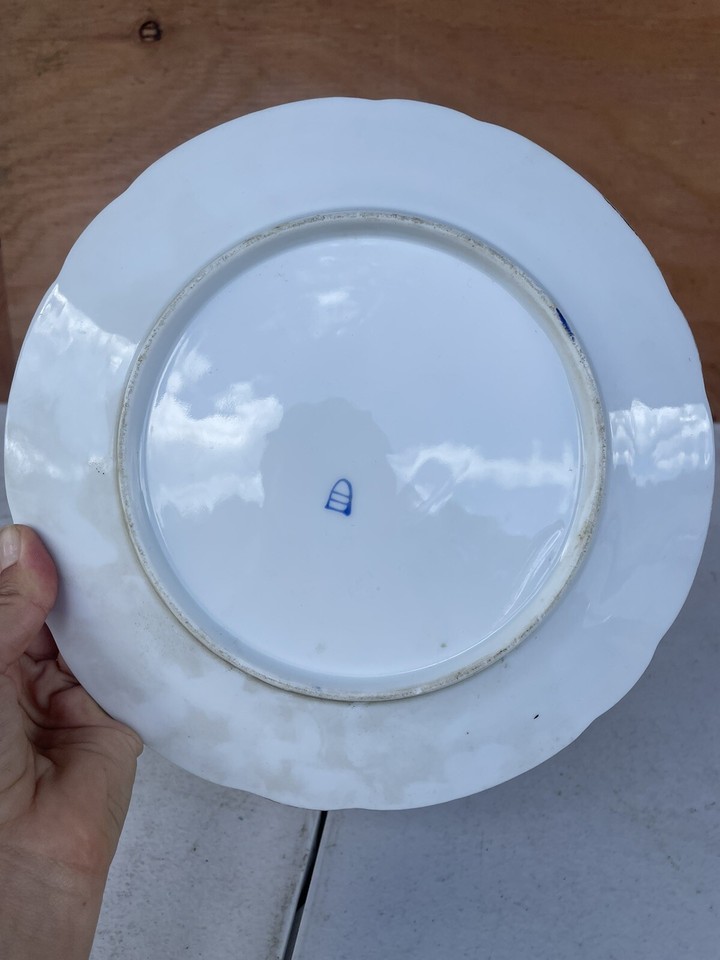 AUSTRIA BEEHIVE MARK VIENNA STYLE HAND PAINTED CHINTZ “ PLATE SALAD ANTIQUE | eBay