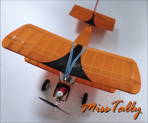 Miss Tally's Big Sister Balsa Model Aircraft RTC Model Aircraft .5 /.75 ...