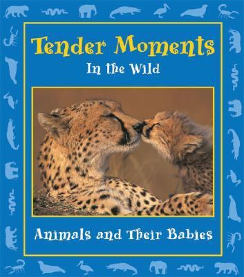Tender Moments in the Wild : Animals and Their Babies by Stephanie Maze ...