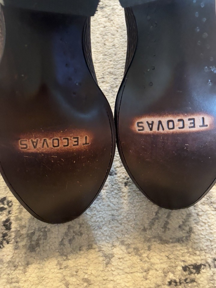 Tecovas ‘The Quintin’ Chocolate Shark Mens Size 13 D Cowboy Boots | eBay