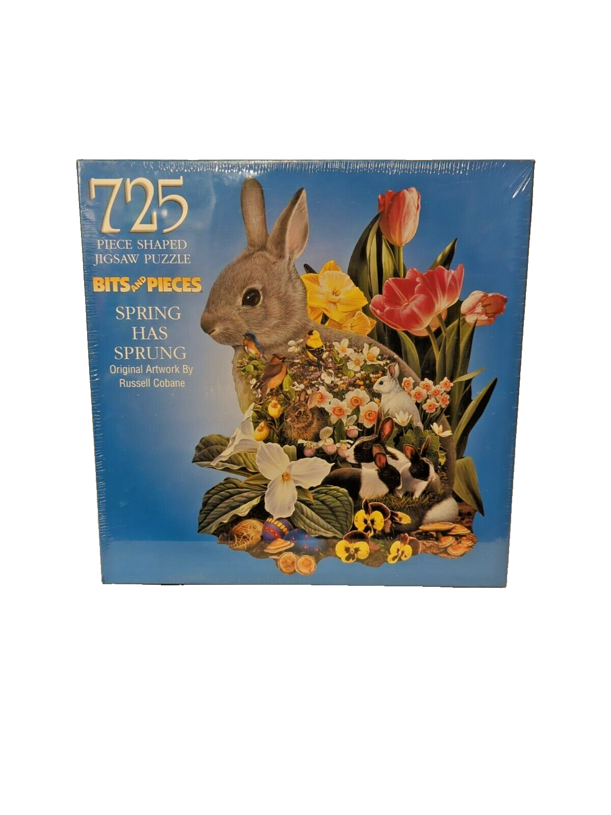 Bits And Pieces 180588 Spring Has Sprung, 725 pc puzzle, Russell Cobane ...