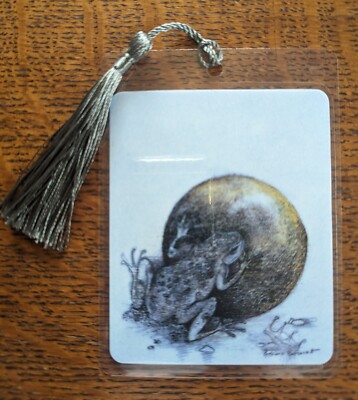 FROG Animal Spirits Bookmark Oracle Card Boulet Art Deck New Gift Tarot ...