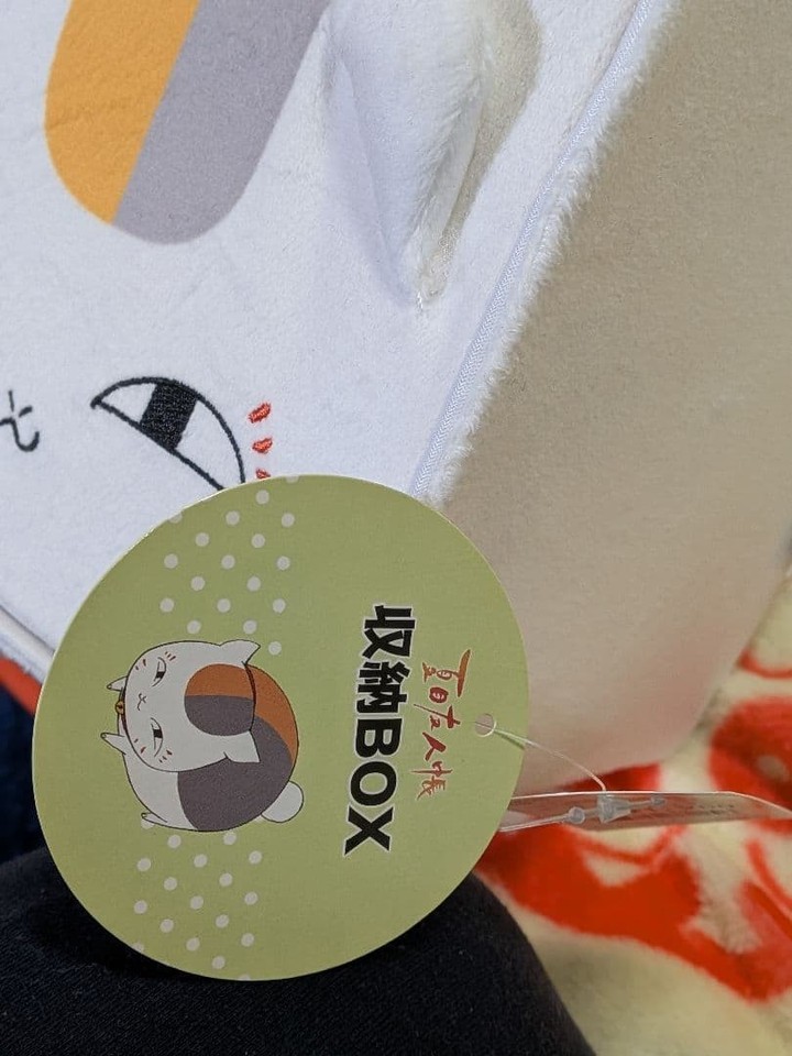 Natsume's Book of Friends Nyanko-Sensei Storage BOX^^ Japan Anime | eBay