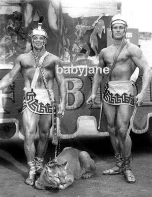 039 ED FURY POPULAR PHYSIQUE MODEL / ACTOR DRESSED AS A GLADIATOR PHOTO ...