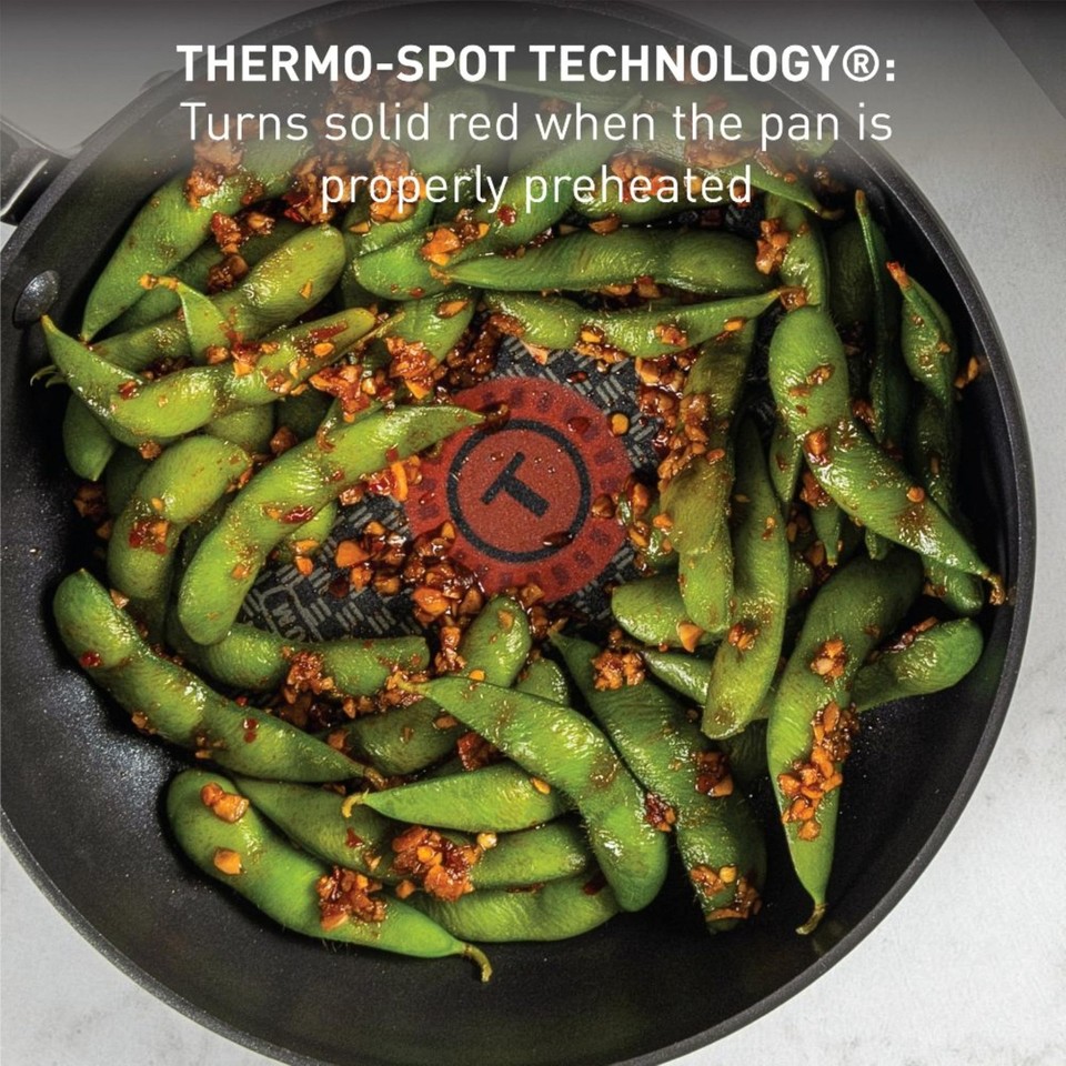 T Fal 12 Inch Hard Anodized Nonstick Fry Pan with Lid and Thermo Spot ...