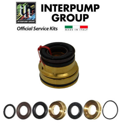 OEM Interpump / General Pump Kit 131 SEAL PACKING KIT, GP K131 KIT131 ...