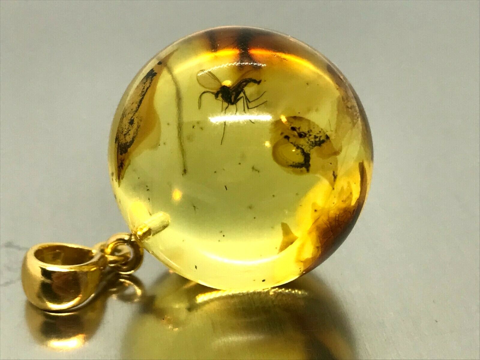 Baltic AMBER PENDANT INSECT Gift Insects Round AMBER Silver 925 Gold 6 ...