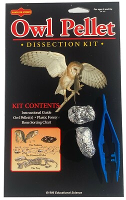 Owl Pellet Kit, 2 Pellets, Heat treated and sanitized (OP101-2) | eBay