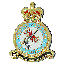 RAF Fire & Rescue Service 25mm Pin Badge for sale online | eBay
