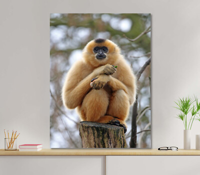 Gibbon Monkey on Wooden 5mm thick Plastic Poster Ready to Hang 45x60cm ...