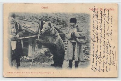 Romania - Ursari ) Dancing bear - Montreur d'ours - Ed. Ad. Maier & D ...