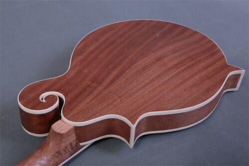DIY-MAKE YOUR OWN KENTUCKY STYLE F HOLE 8 STRING CARVED TOP ACOUSTIC ...