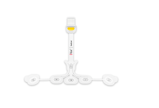 Masimo RD Sedline EEG Sensor ref: 4248 - exp: 03-01-2025 - box of 20 ...