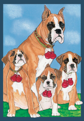 Boxer Blank Note Cards Boxed | eBay