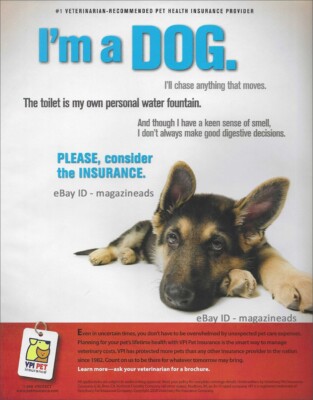 VETERINARY PET INSURANCE 1-Page MAGAZINE PRINT AD 2008 GERMAN SHEPHERD ...