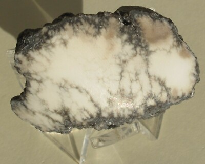 Howlite Nodule Polished 1 Face 47 g Mineral Crystal Specimen Tick ...