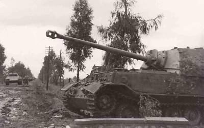 WW2 Photo WWII German Sdkfz 184 "Elefant" Tank Destroyer World War Two ...