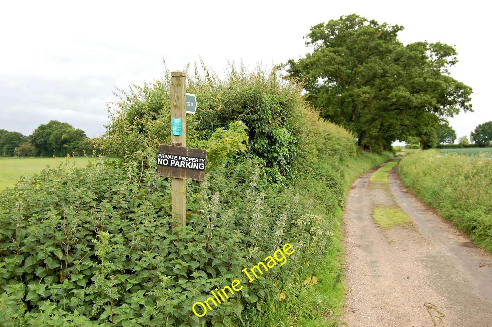 Photo 6x4 Private road to Warren Mill House Wetherden A number of ...