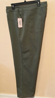 NWT Allison Daley Womens Pants Plus Size 24WS Green Stretch Cotton ...