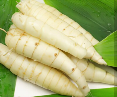 Dried Arrowroot 50g Sri Lanka 100% Natural Maranta arundinacea FREE ...