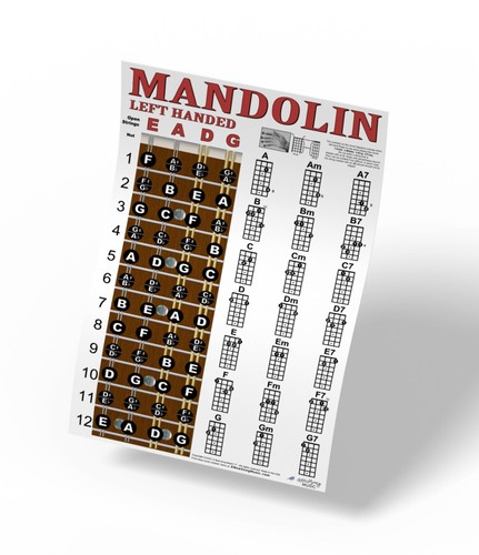 LEFT HANDED Mandolin Easy Chord & Fretboard Instructional Poster Beginner Chords | eBay