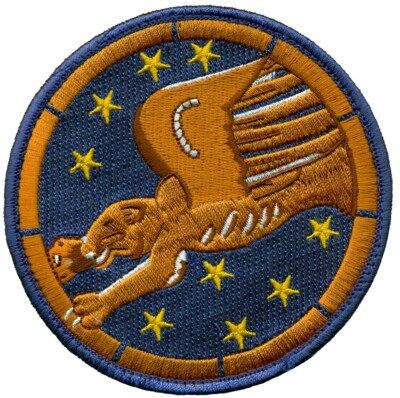 USAF 99th FLYING TRAINING SQUADRON PATCH - HERITAGE - NEW | eBay