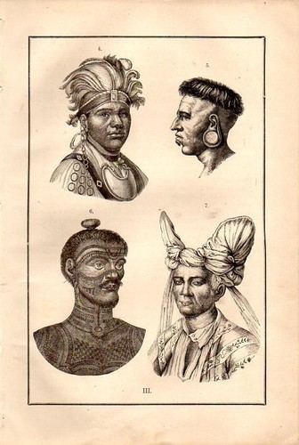 1873 STRAESSLE LITHOGRAPH human races: indian, botucudo & malayan race ...