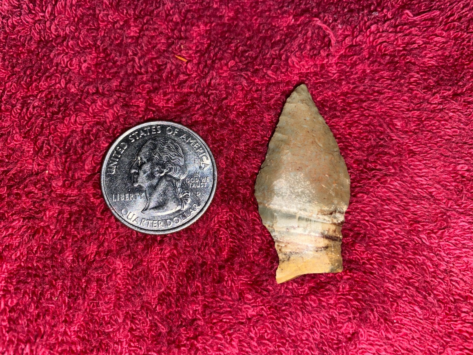 West Texas Arrowhead Early Archaic Era Artifact Nice Early Lanceolate ...