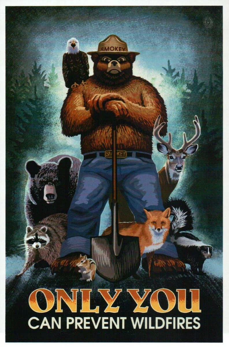 Smokey The Bear And Tv