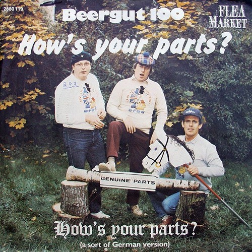 Beergut 100 (2) - How's Your Parts?, 7", (Vinyl) | eBay