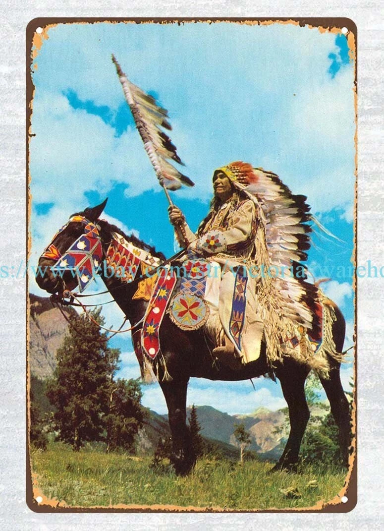 Native American Chief On Horse
