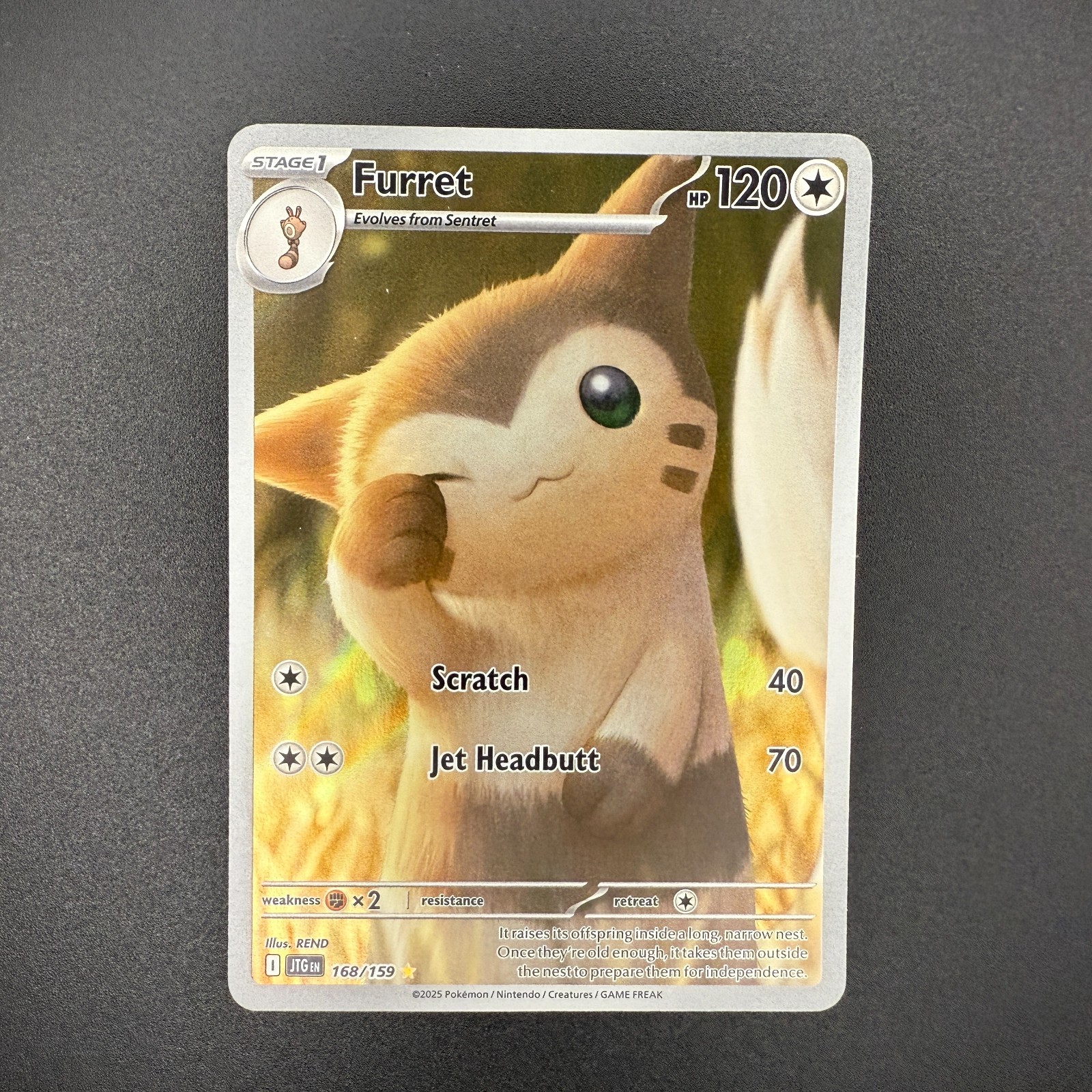 Pokemon TCG Furret 168/159 | eBay