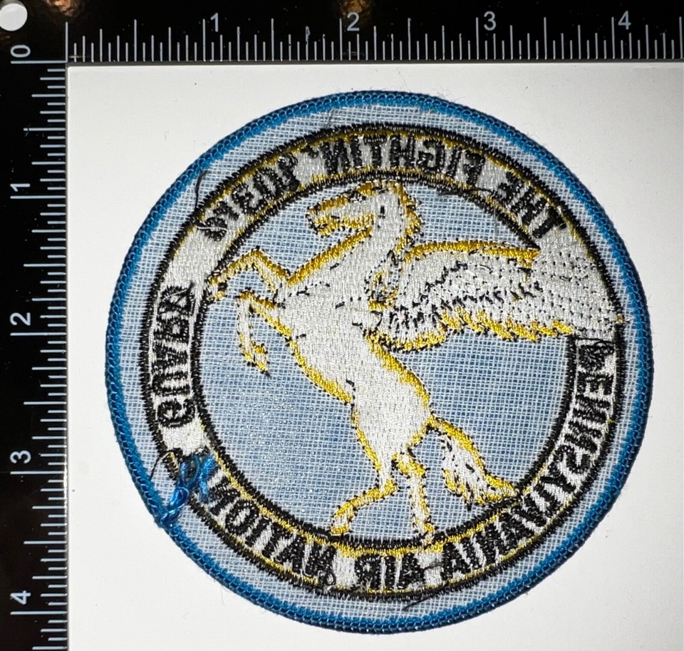 USAF 103rd Fighter Squadron Pennsylvania ANG Patch | eBay