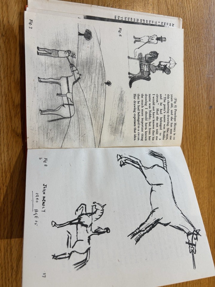 How To Draw Horses By John Skeaping Antique Hard Back Book With Dust ...