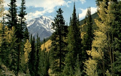 Torrey's Peak, Colorado - Fall Scene from Loveland Pass Postcard | eBay