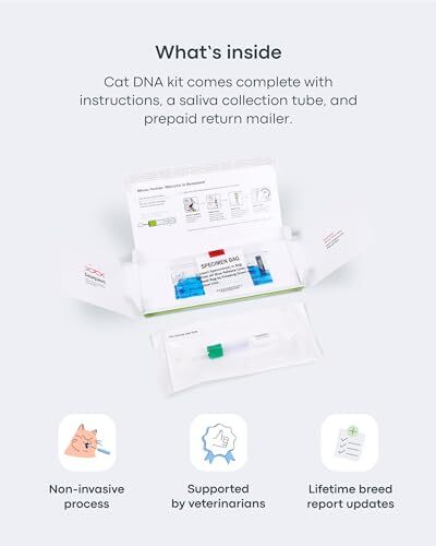 Cat DNA Test Kit - Comprehensive Breed, Health and Dental Analysis ...