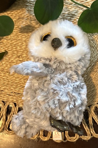 TY Beanie Boos 6" OWLETTE the Grey Owl *Glitter Eyes*. 2016 Moonlight ...