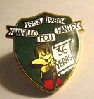 Amarillo Pantex FCU Lapel Pin - Vintage 1988 Federal Credit Union Texas ...