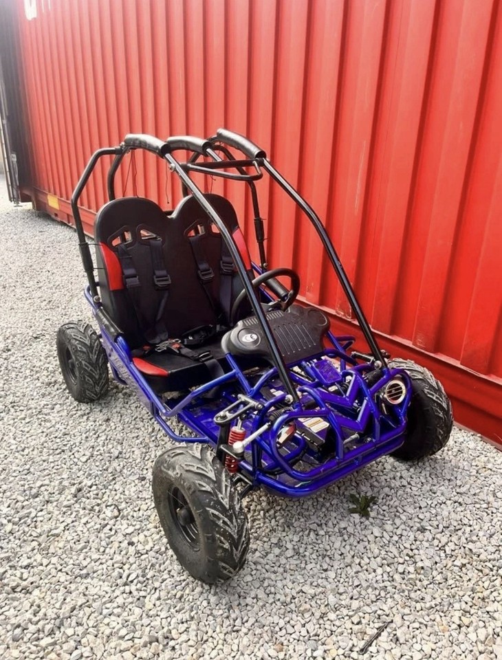 2022 Mud Rocks Shark GT50 156cc Purple Mini Off Road Buggy, Go Kart | eBay UK
